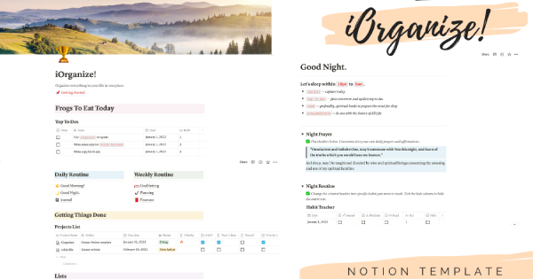 The Top 9+ Organizer Notion templates