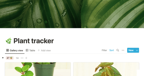 Plant Tracker: Free Notion Template from Mary Zhou