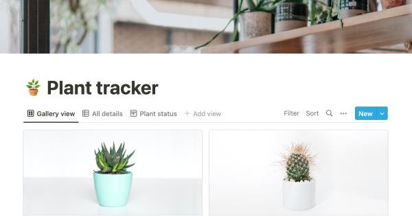 Track and care for your plants with the Plant Tracker template on Notion.