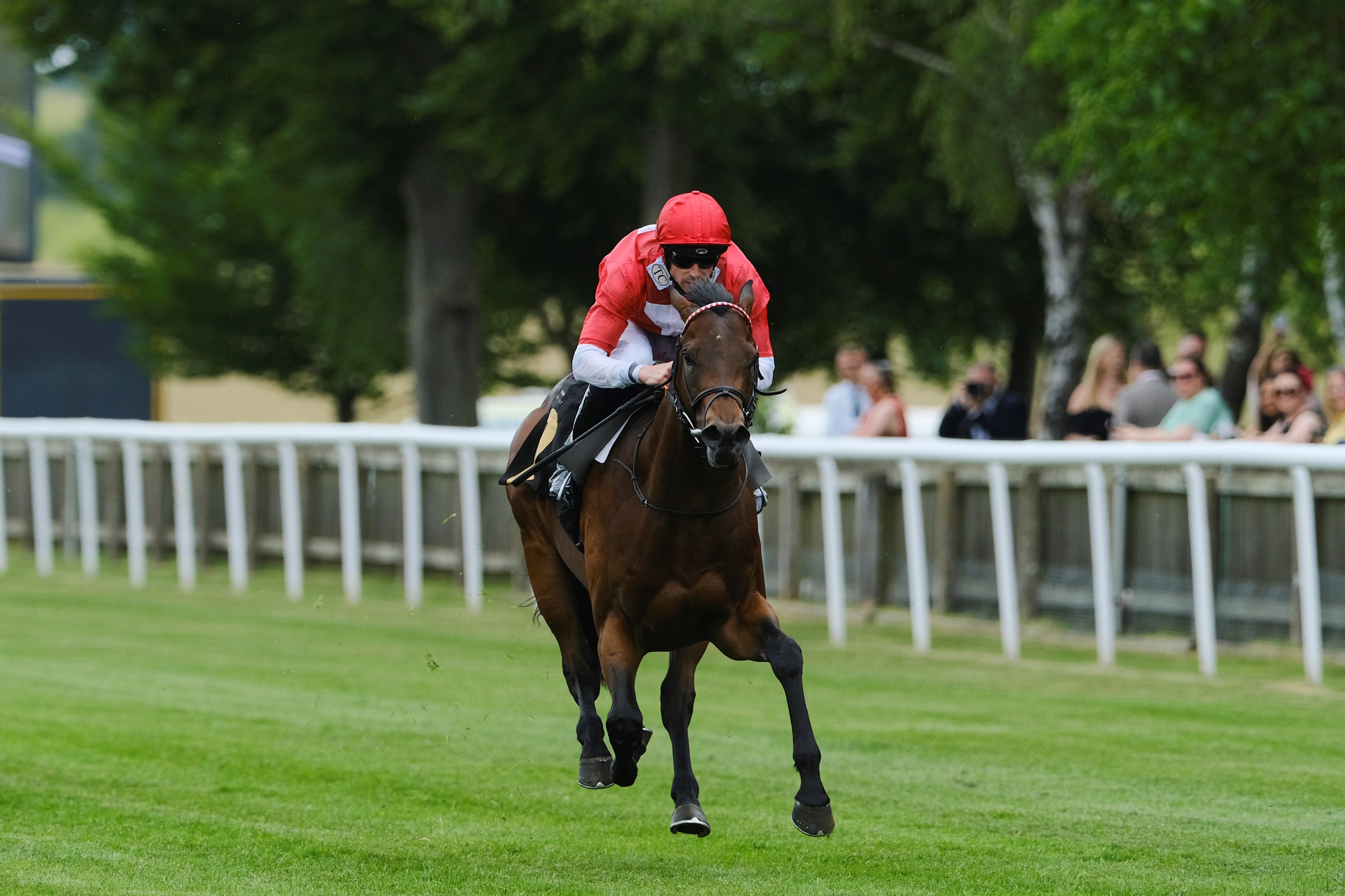 Ownership | Tom Clover Racing