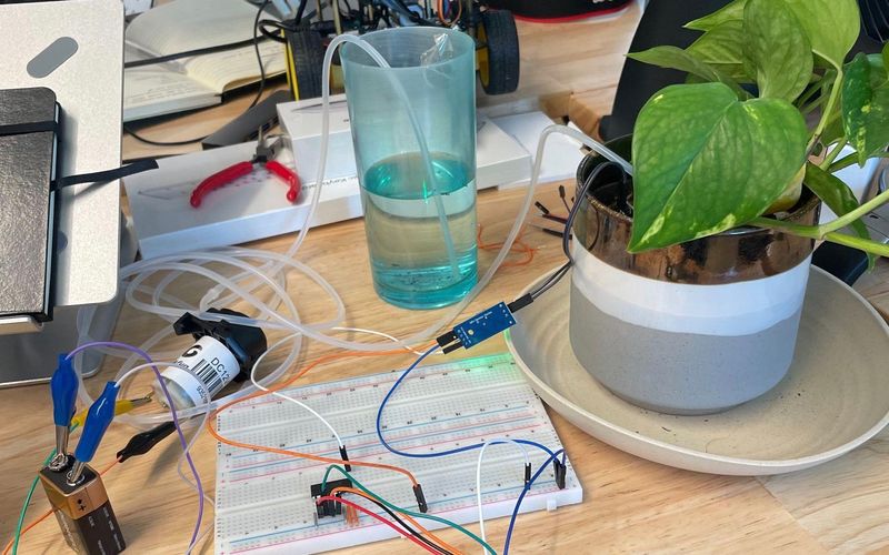 6 Easy Robotics Projects for Beginners to Kickstart Your Journey