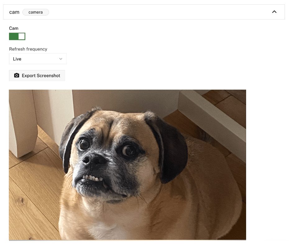 Build a Smart Pet Feeder with Machine Learning