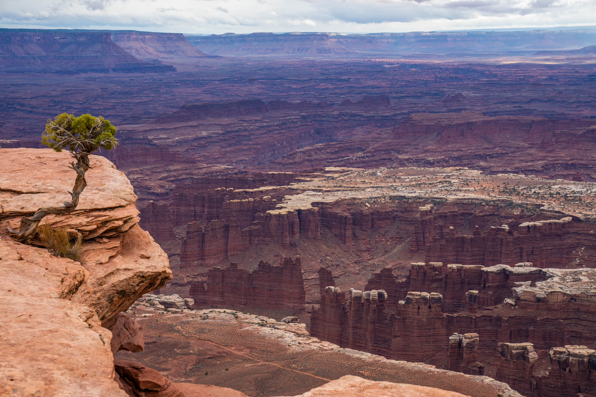Moab, St. George & Red Rocks