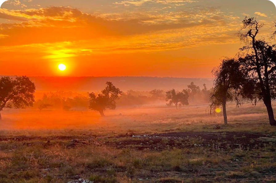 Tennessee Property Developments | Lakewood Capital Group