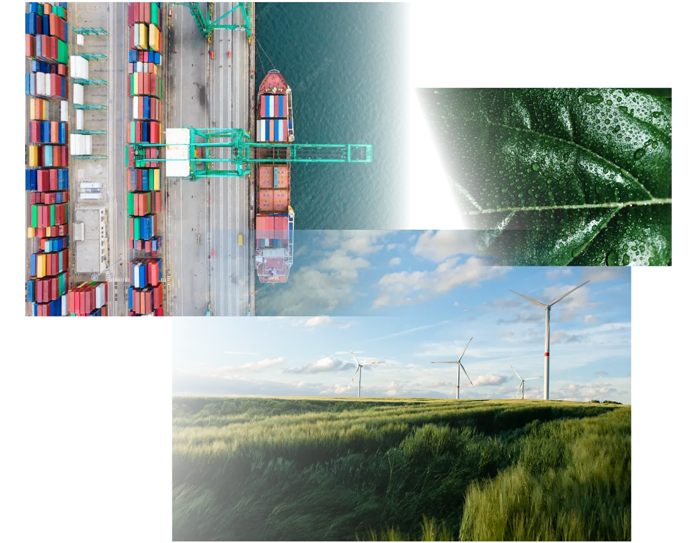 LCAs and Carbon Emissions Tracking | Minespider