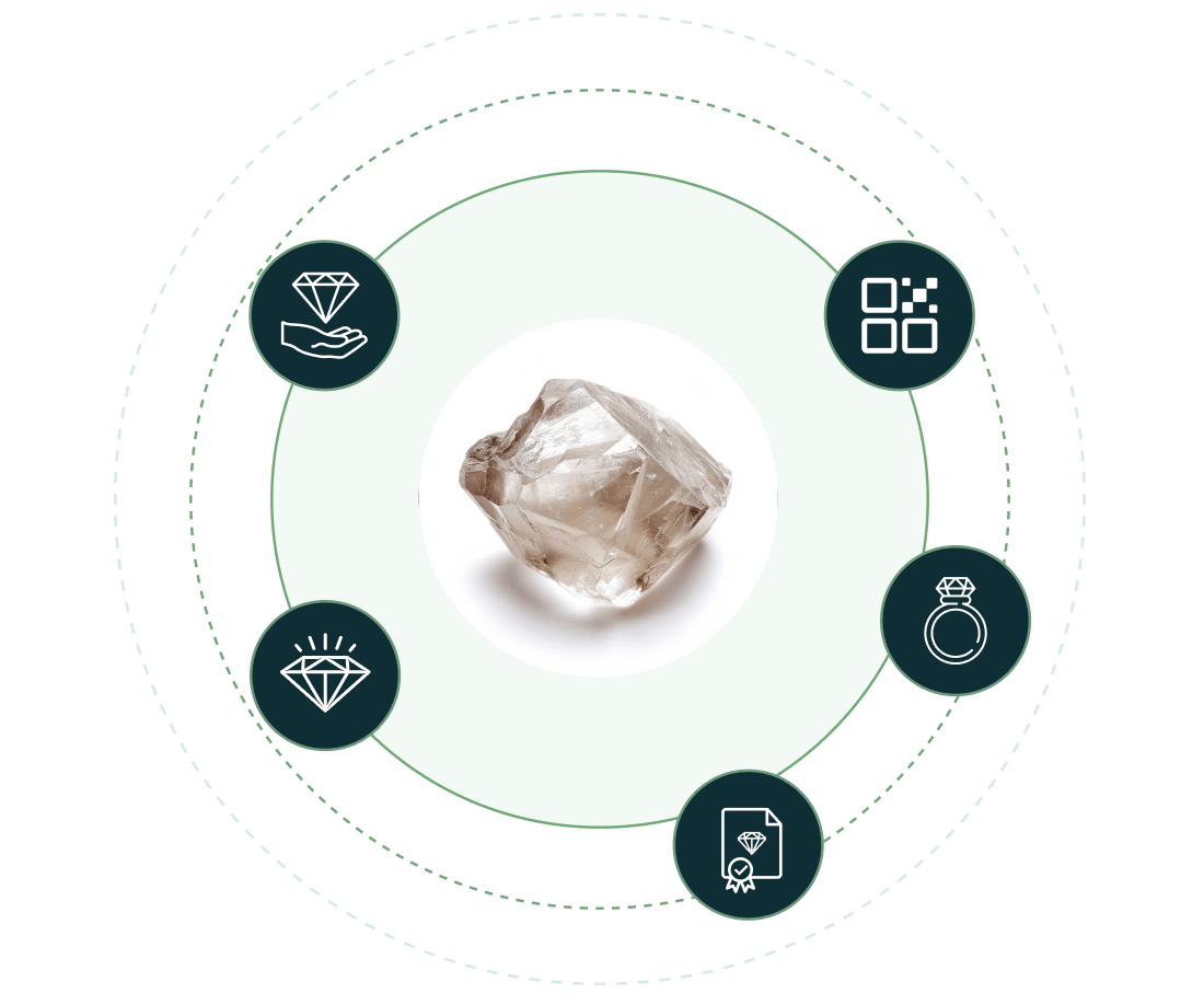 Diamond Passport | Minespider