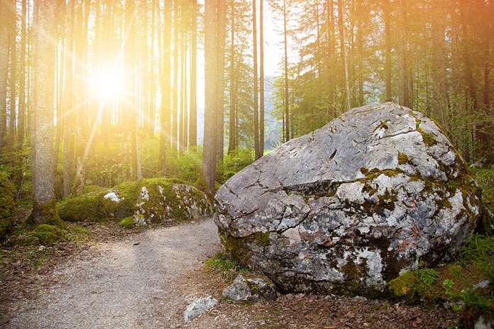 Top 5 hiking trails in Germany