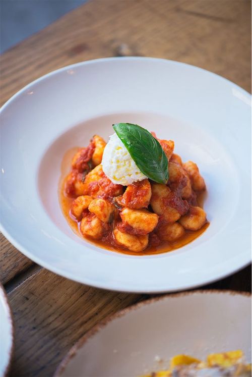 Terroni Adelaide | Gruppo Terroni