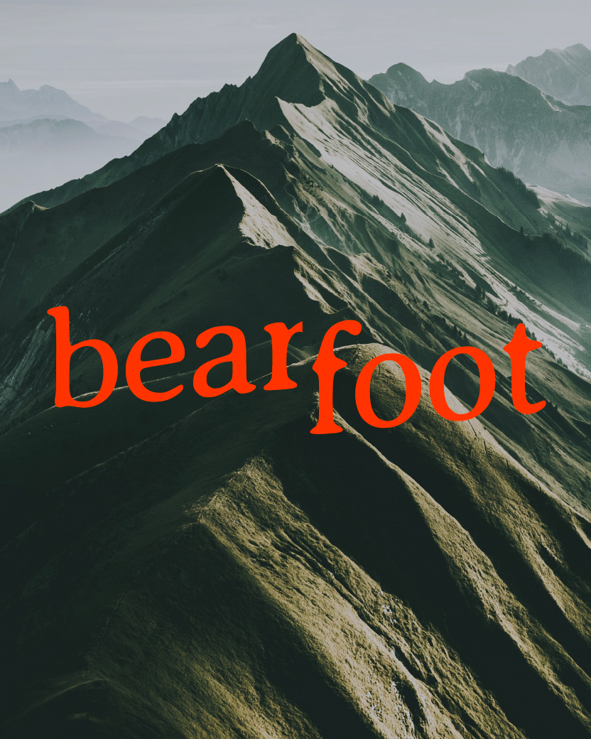 Experience design studio - Wisefools