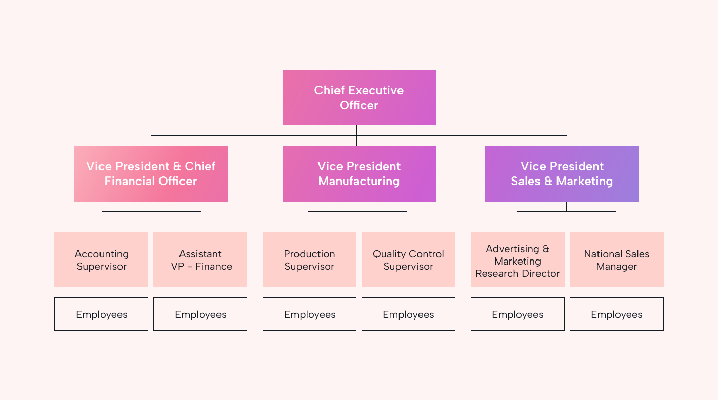 Finance Department Structure In Manufacturing Company