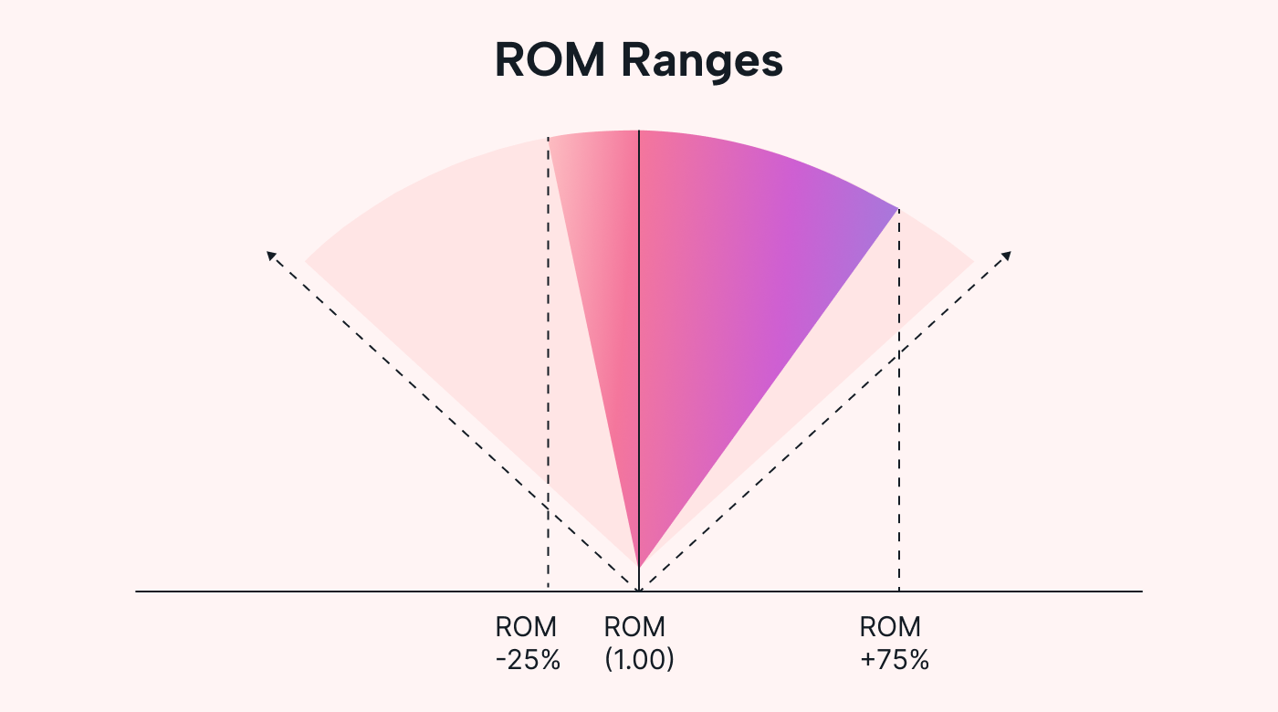 Decoding Rough Order of Magnitude Estimates | Motion | Motion