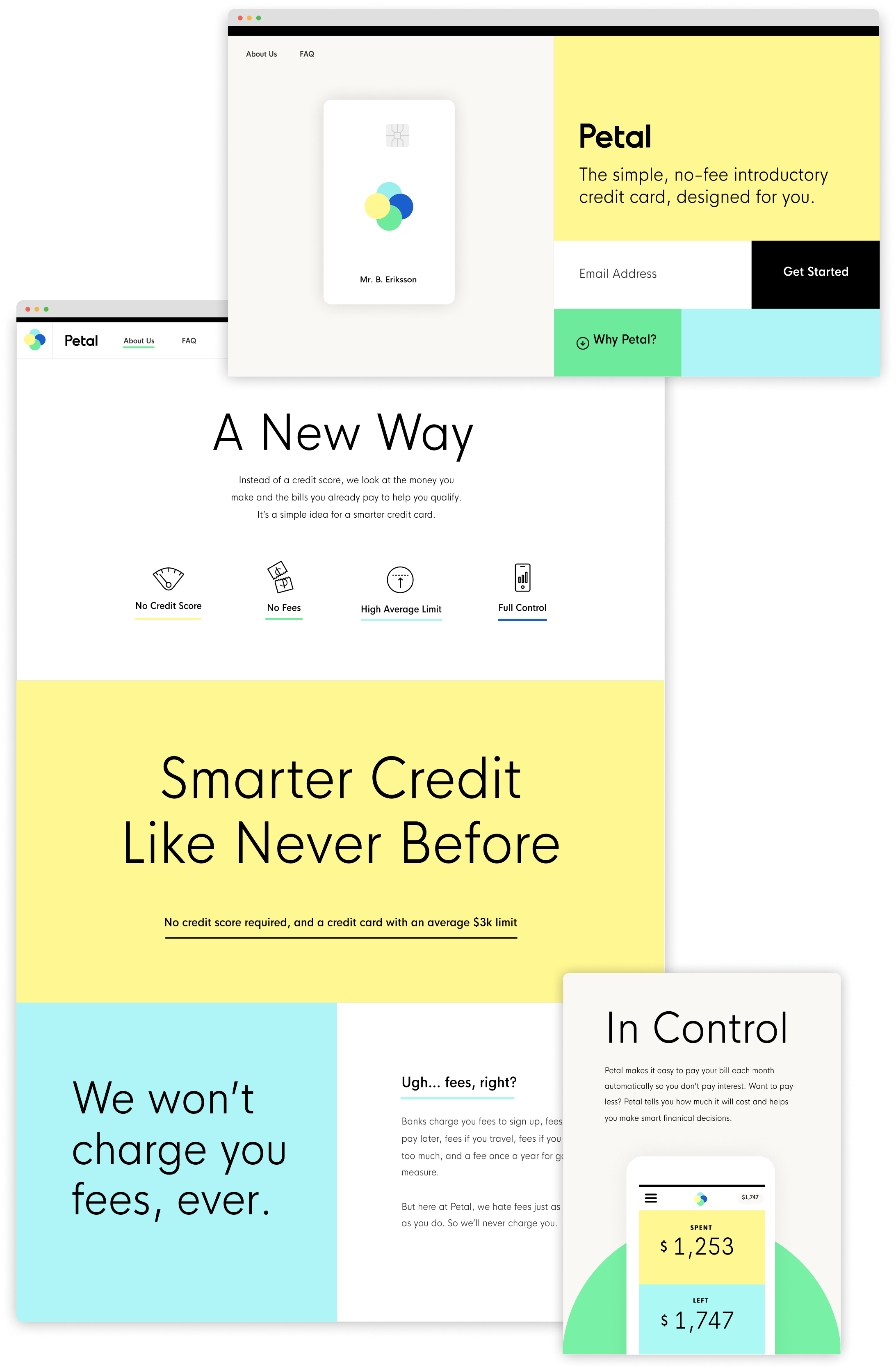 Petal Brand & Credit Card Design by David McGillivray Copy