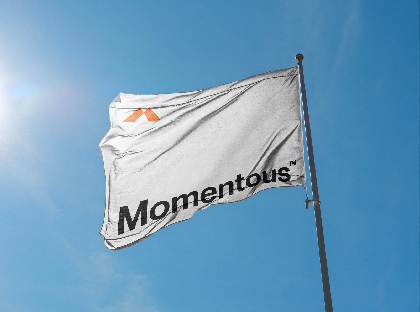 Momentous Brand Designed by David McGillivray