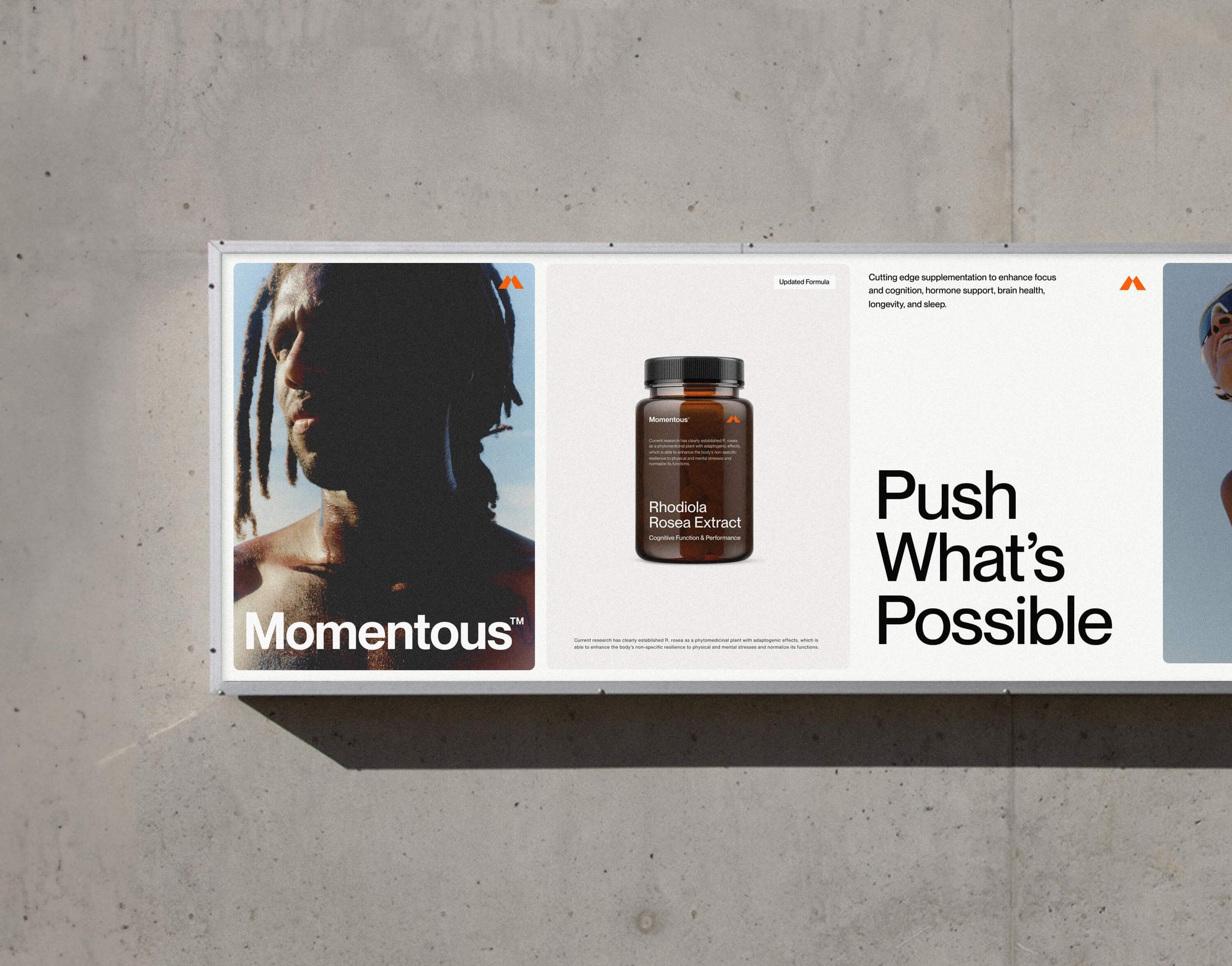 Momentous Brand Designed by David McGillivray