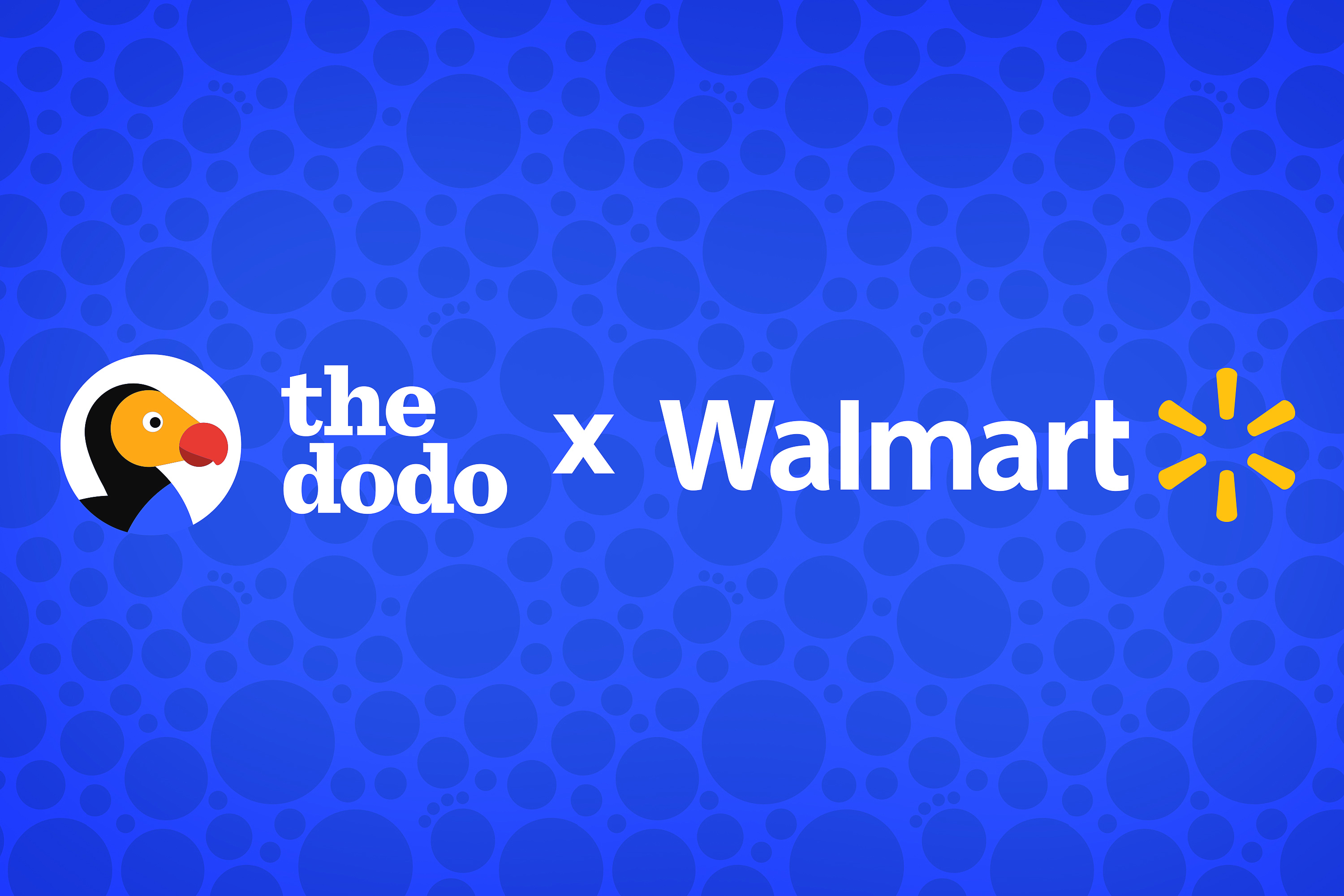 The Dodo at Walmart