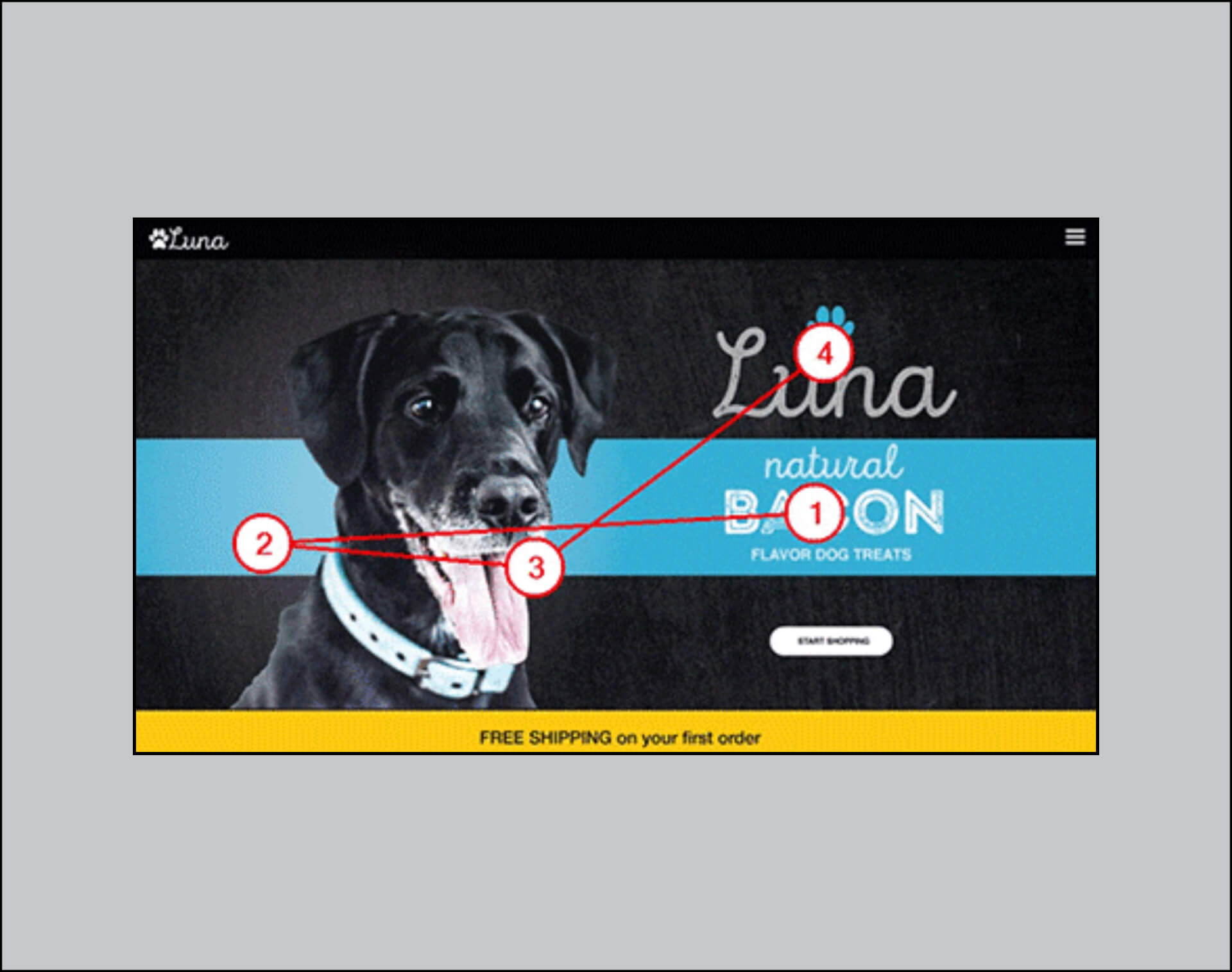 A visual hierarchy checker (VAS by 3M): Try this incredible layout ...