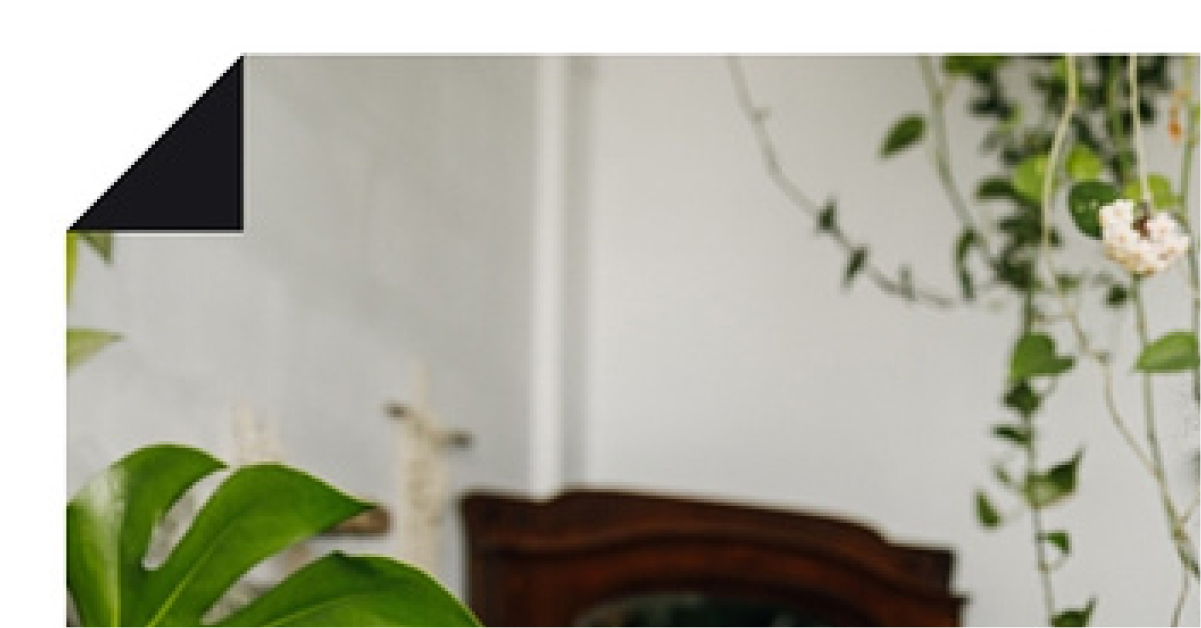 Corner styling design inspiration, ideas and examples for web design ...