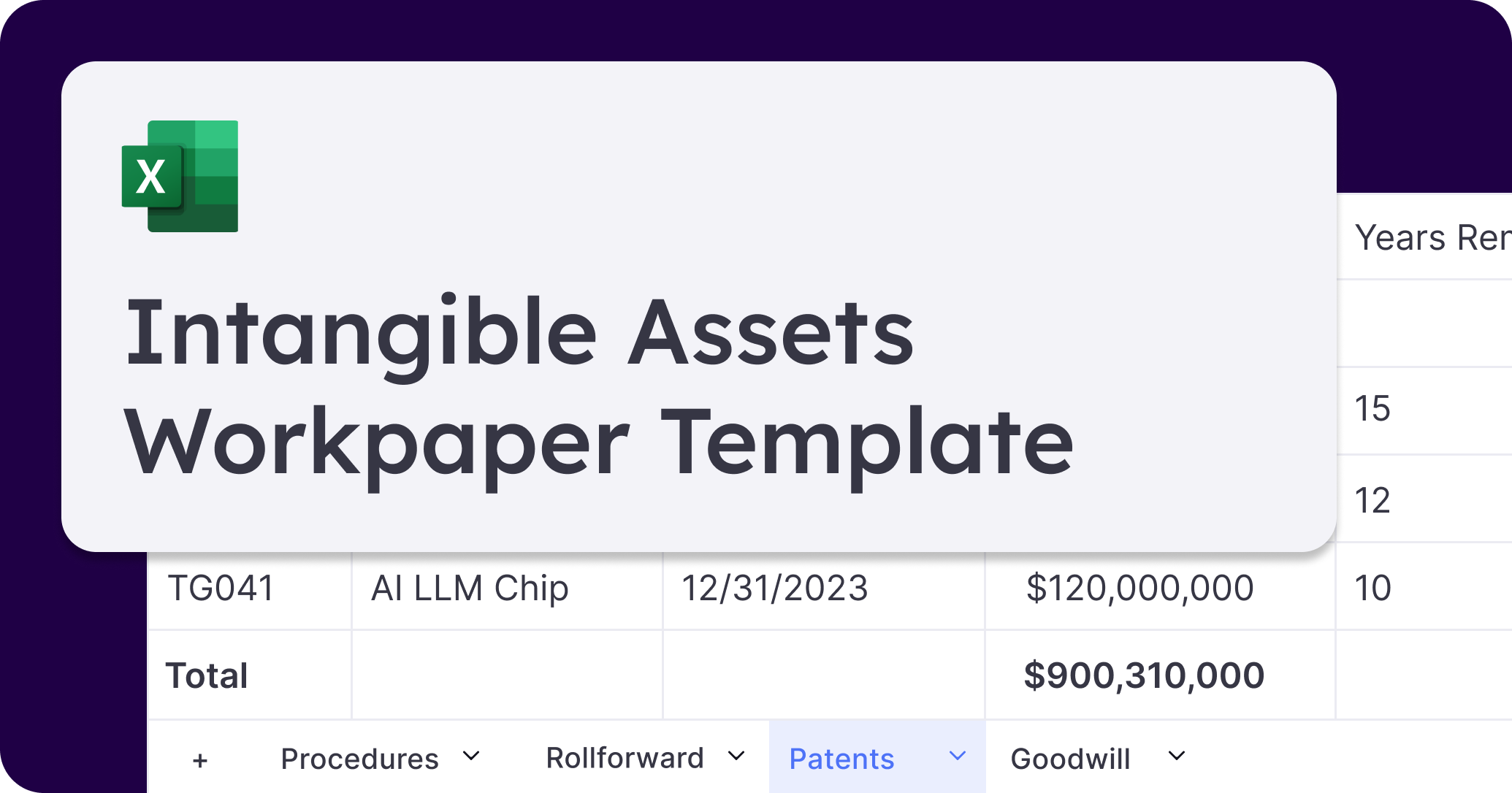 Intangible Assets Workpaper | Numeric