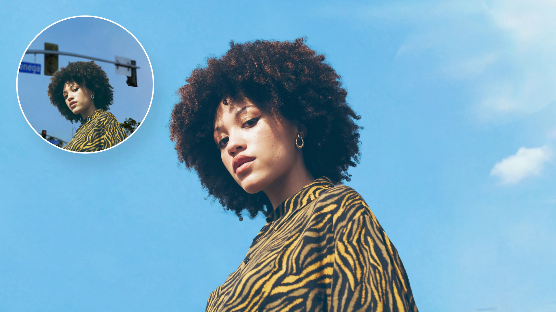 Crafting the perfect model headshot for your portfolio: Tips, tricks ...