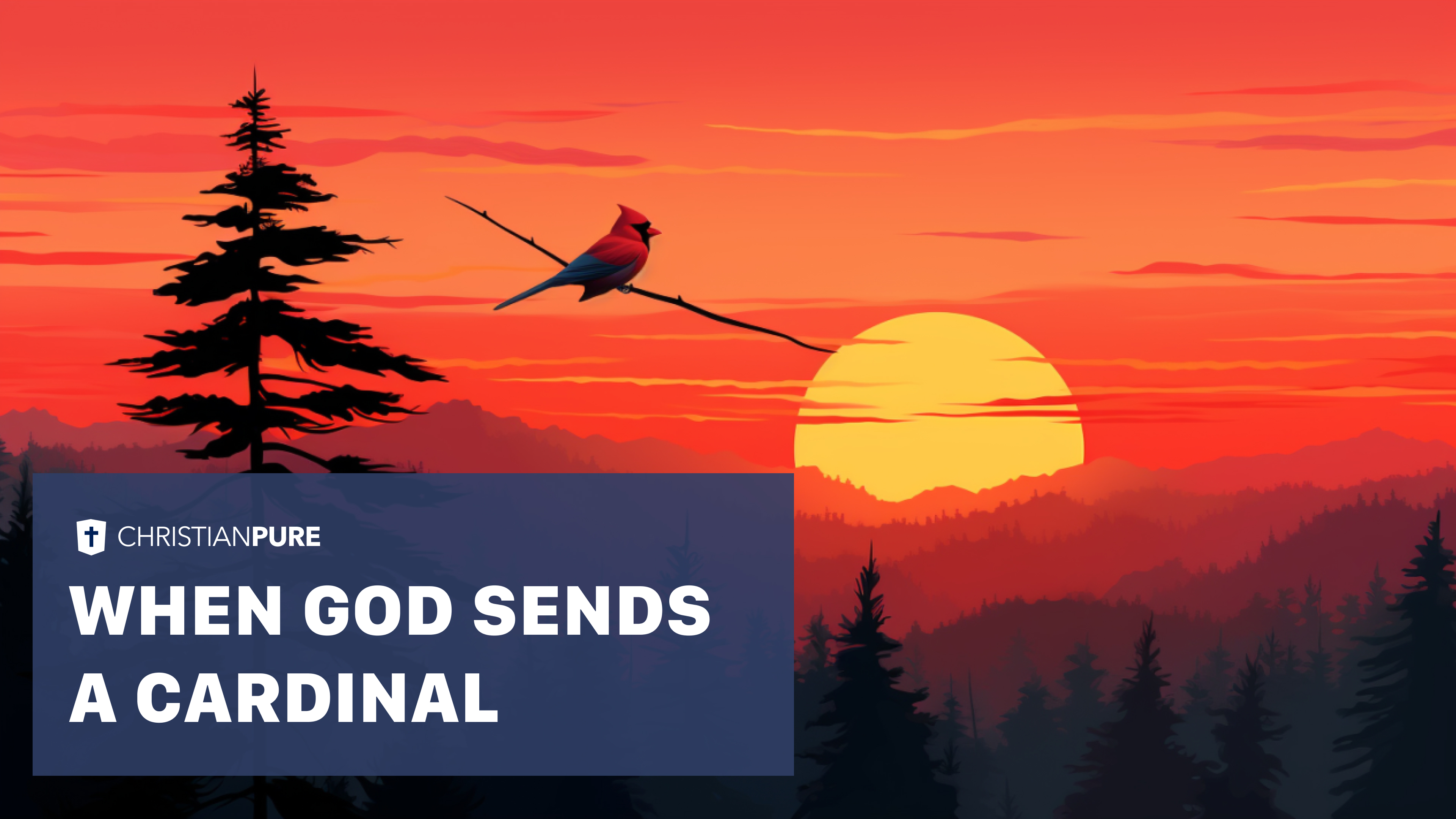 What Does It Mean When God Sends A Cardinal | Christian Pure