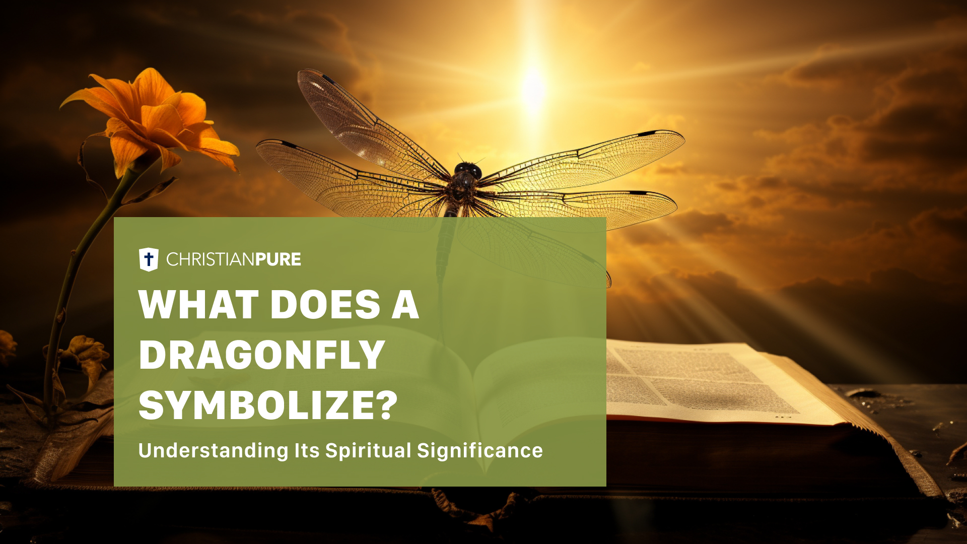 Native American Dragonfly Symbol