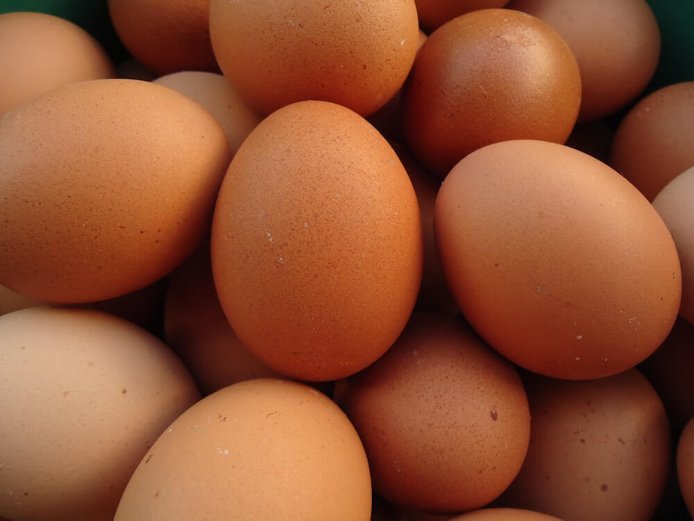 Non Pastured Eggs vs. Pasteurized Eggs vs. Organic vs. Free Range vs ...