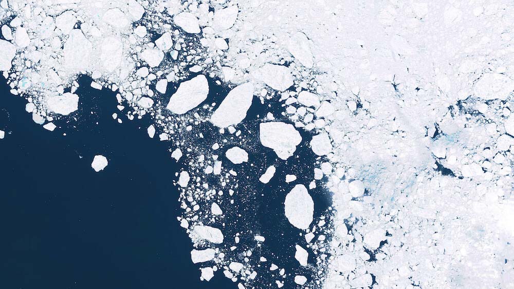 How Does Climate Change Affect The Ocean? | The Momentum