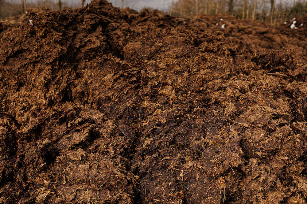 How To Use Human Waste As Fertilizer At Dean Ransford Blog How To Use Human Waste As Fertilizer At Dean Ransford Blog