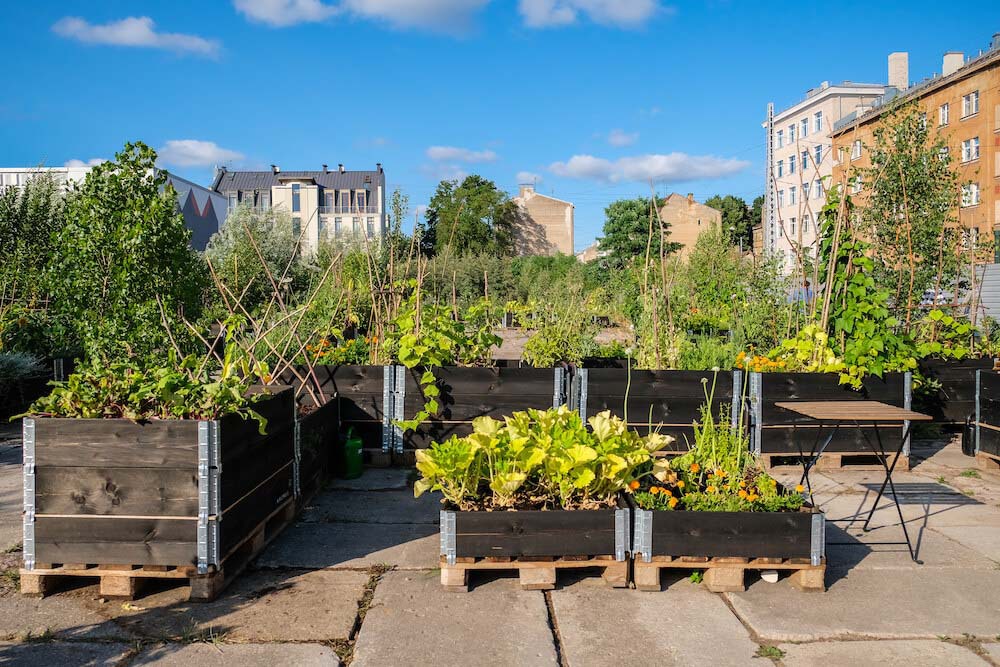Ron Finley: The Guerrilla Gardener | The Momentum