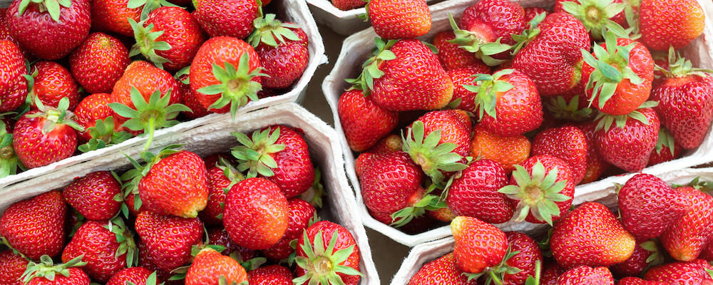 5 Steps On The Farm-To-Table Journey: Where There's Waste And How We ...