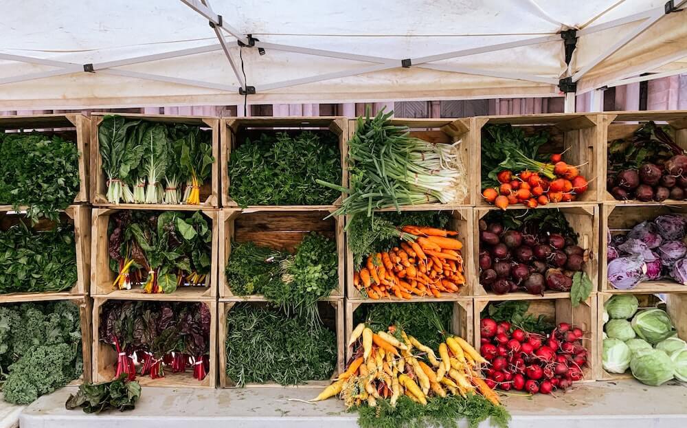 5 Benefits of The Slow Food Movement on The Environment | The Momentum