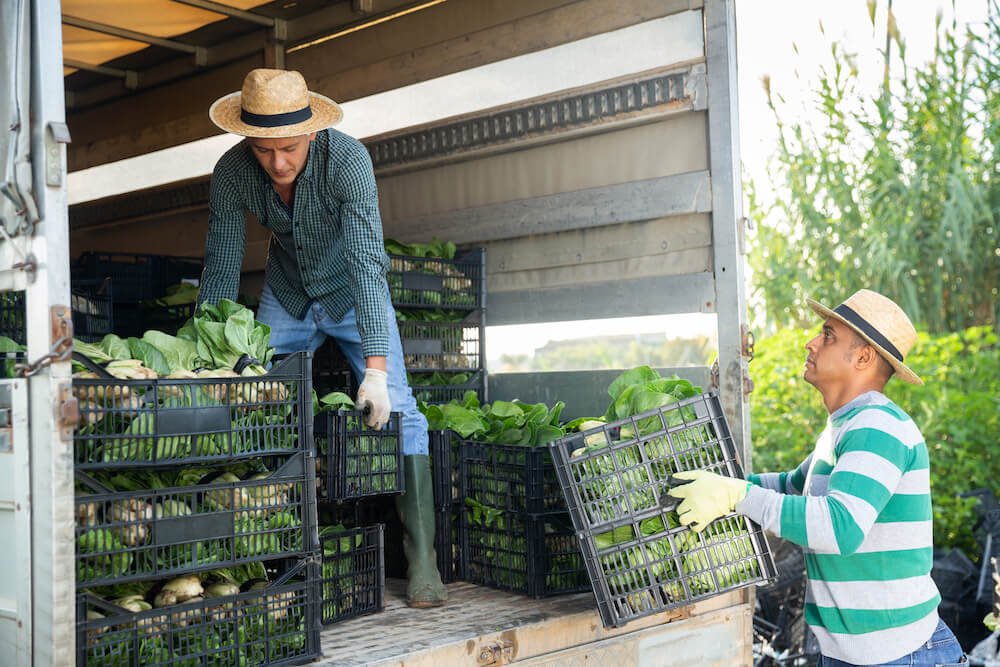 5 Steps On The Farm-To-Table Journey: Where There's Waste And How We ...