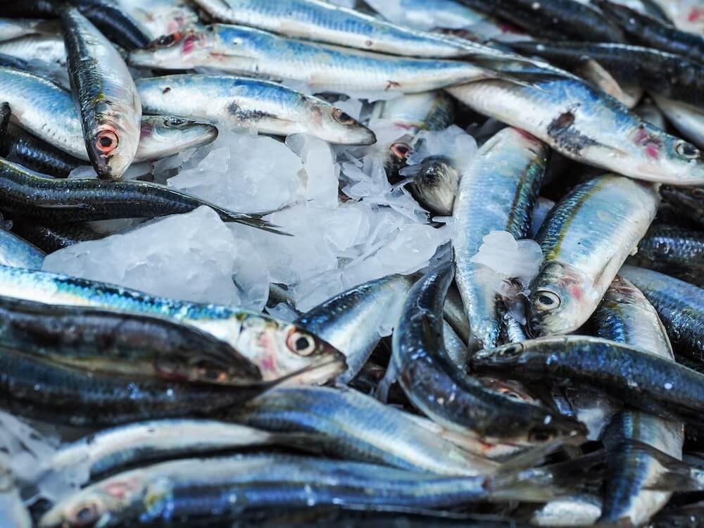 What Does Sustainable Wild-Caught Fish Mean? | The Momentum