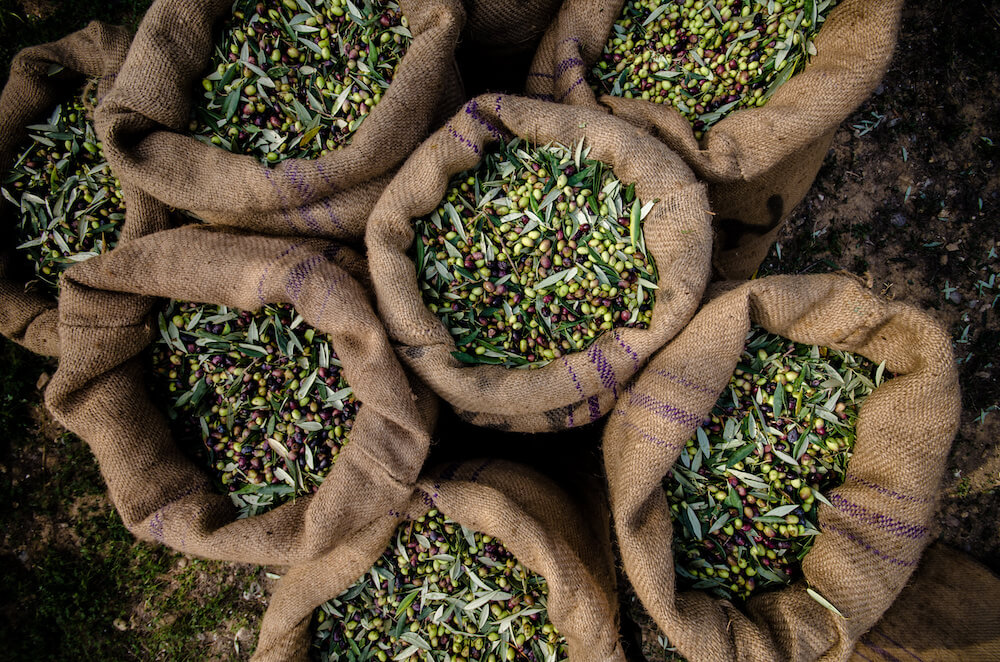 How 3 Popular Cooking Oils Are Produced And What It Means For The ...