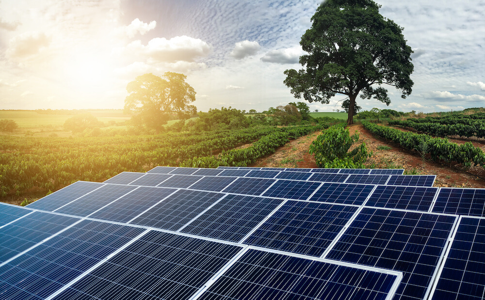 Agrivoltaics: Pioneering Multi-Layered Land Use To Boost Food And ...