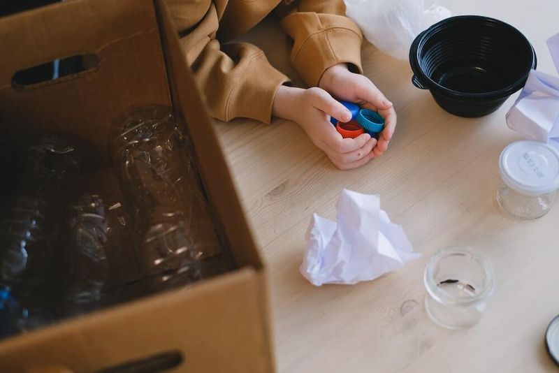 The Momentum | How To Recycle Everyday Items