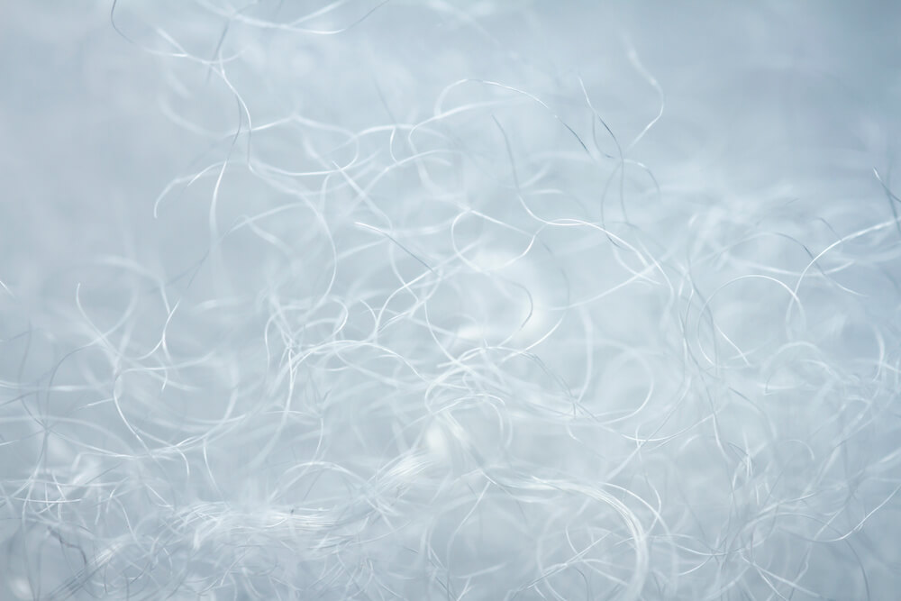 Polyester: How It Impacts The Environment And You | The Momentum