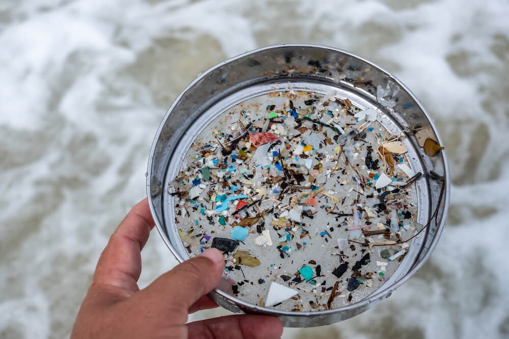 How To Reduce Your Microplastic Exposure | The Momentum