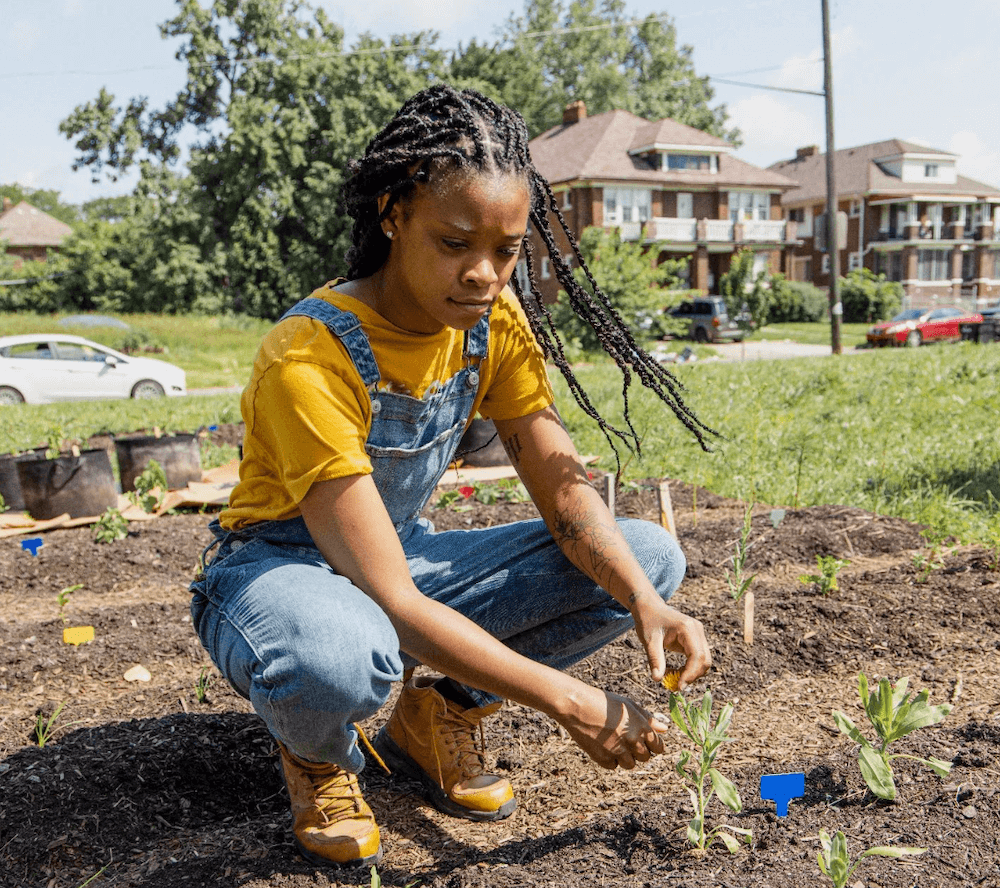 Fennigan's Farms—A Hidden Gem Of Inclusivity And Justice | The Momentum