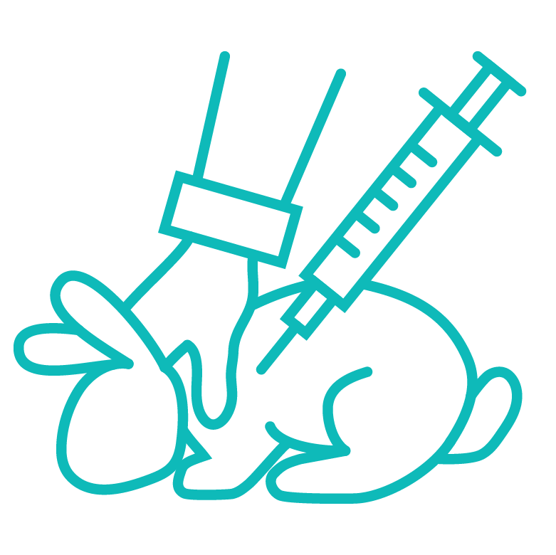 Passing The Test: The Ethics Of Animal Testing | The Momentum