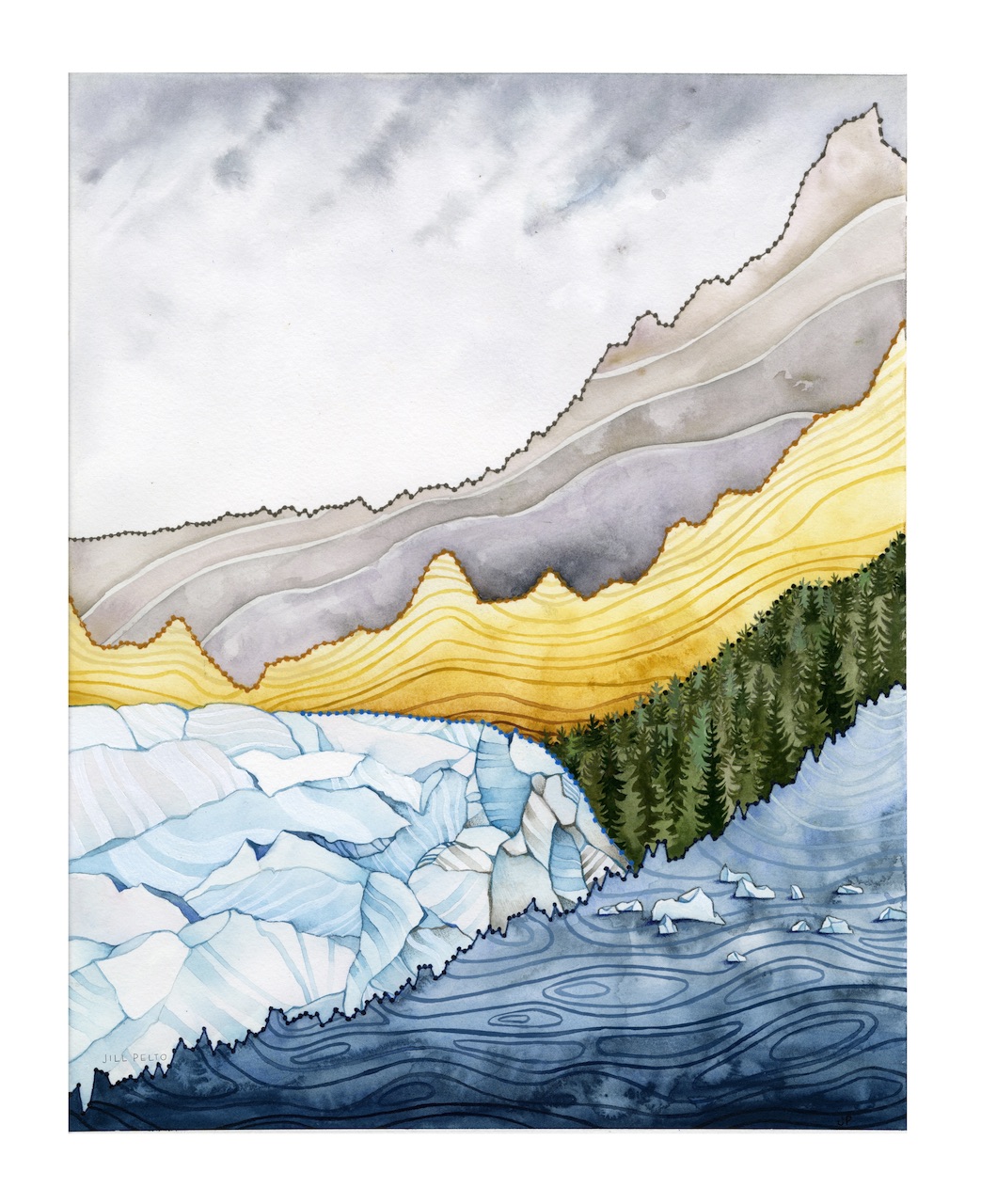 Drawing Data: A Conversation With Climate Artist Jill Pelto | The Momentum