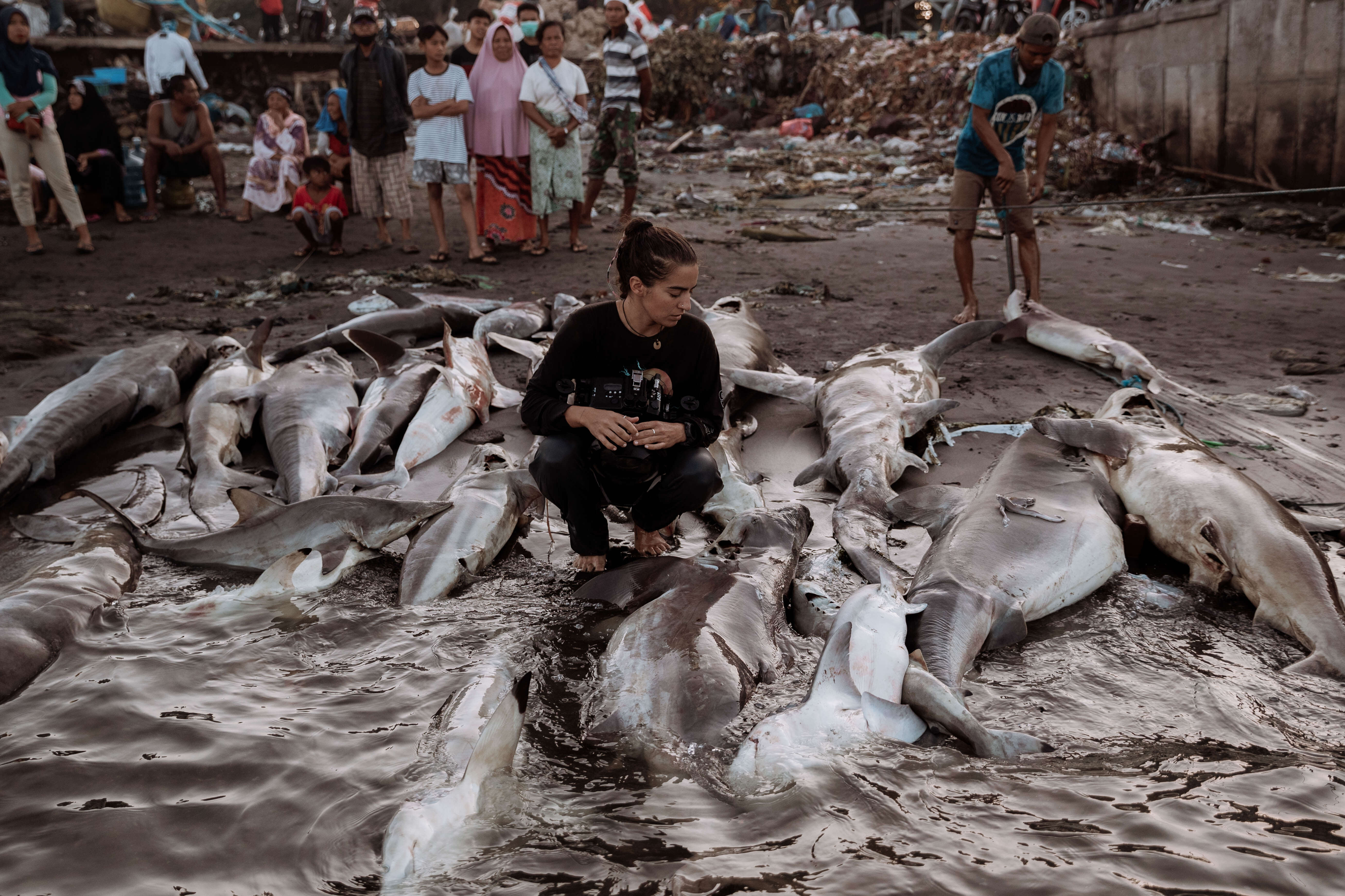 Project Hiu: Reshaping The Future Of Lombok's Fisheries | The Momentum
