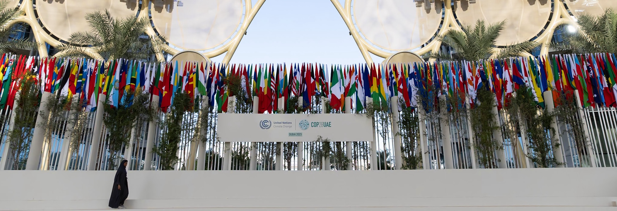 Seas In Focus: Navigating COP28's Ocean Agenda | The Momentum