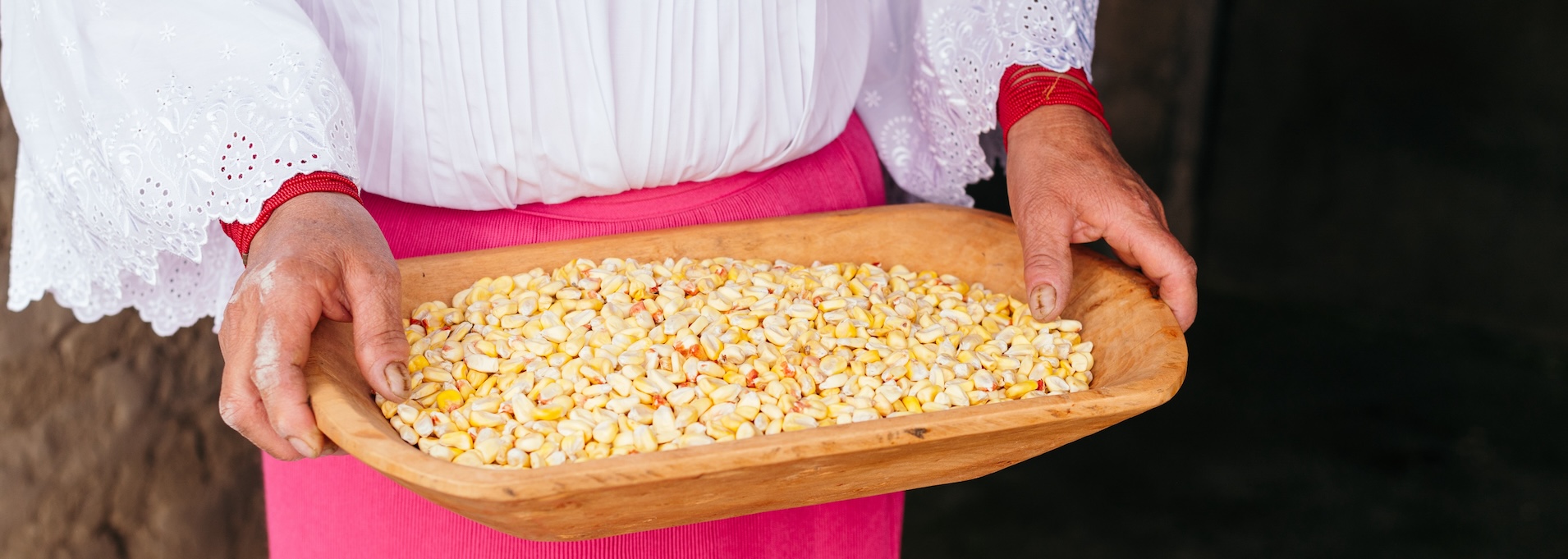 Native-Owned Farms Growing Ancestral Foods | The Momentum