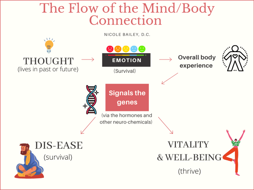 Improve Your Posture and Balance with Chiropractic Care | Hyperhealth