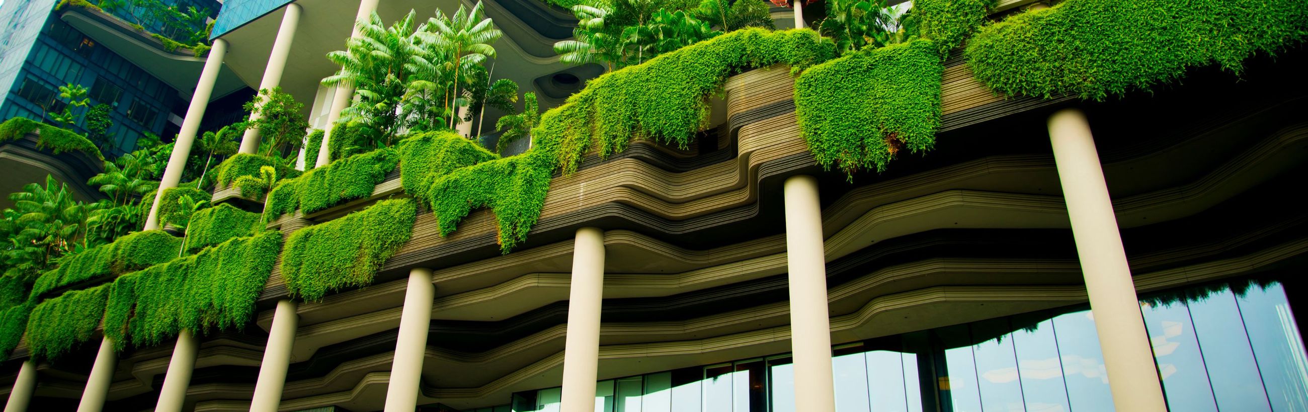 BREEAM vs LEED: Understand the differences and how to choose