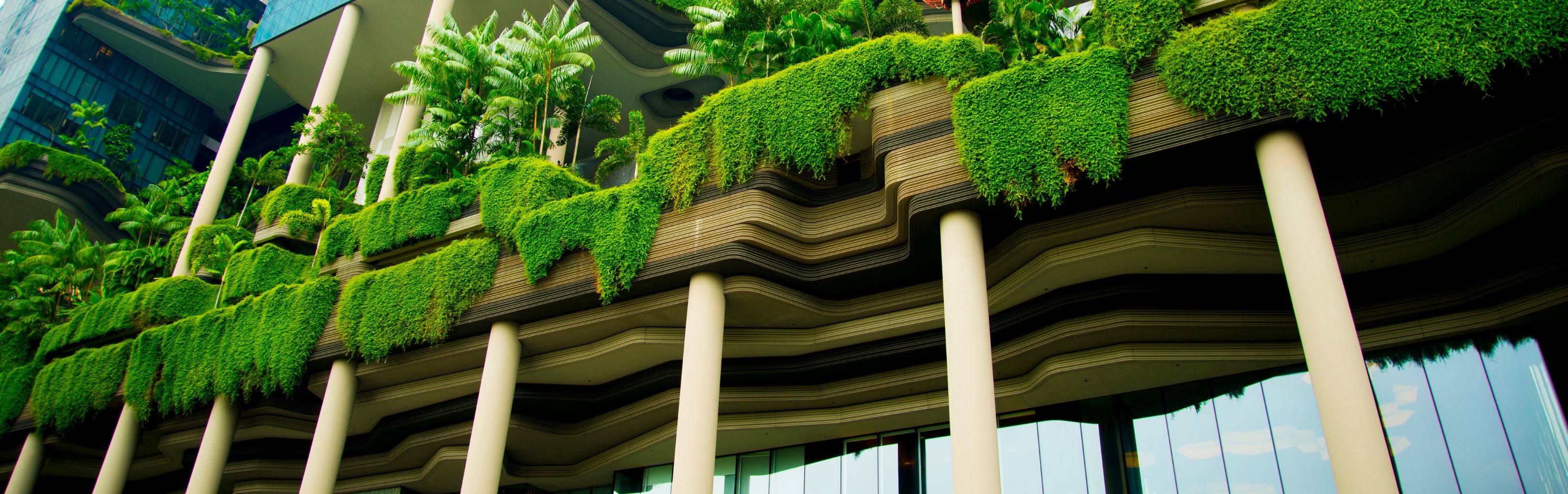 BREEAM vs LEED: Understand the differences and how to choose