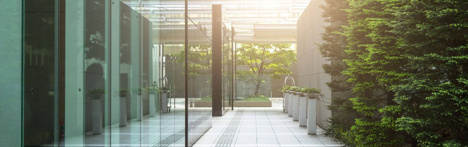 Understanding the WELL Building Standard: A comprehensive guide