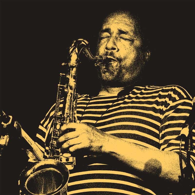 The Falcon in Marlboro, NY