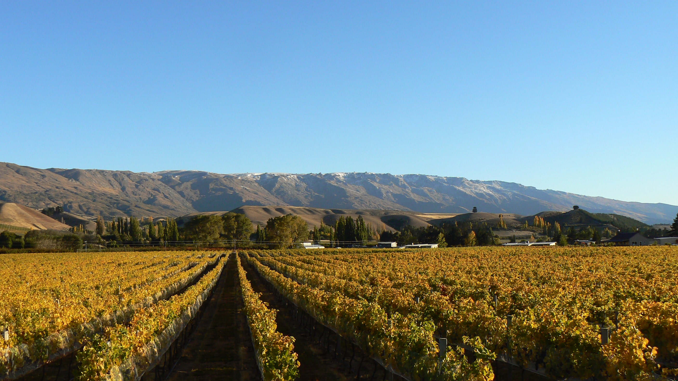 Wooing Tree Estate | Barrett Homes | House & Land | Design & Build